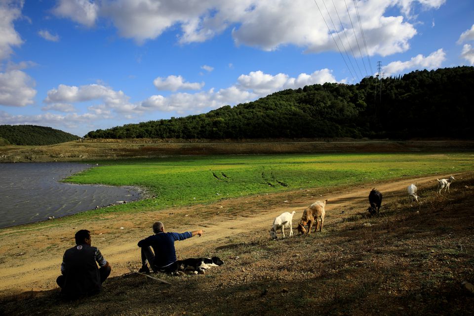 Blaming climate change, Turkish farmers count the cost of drought