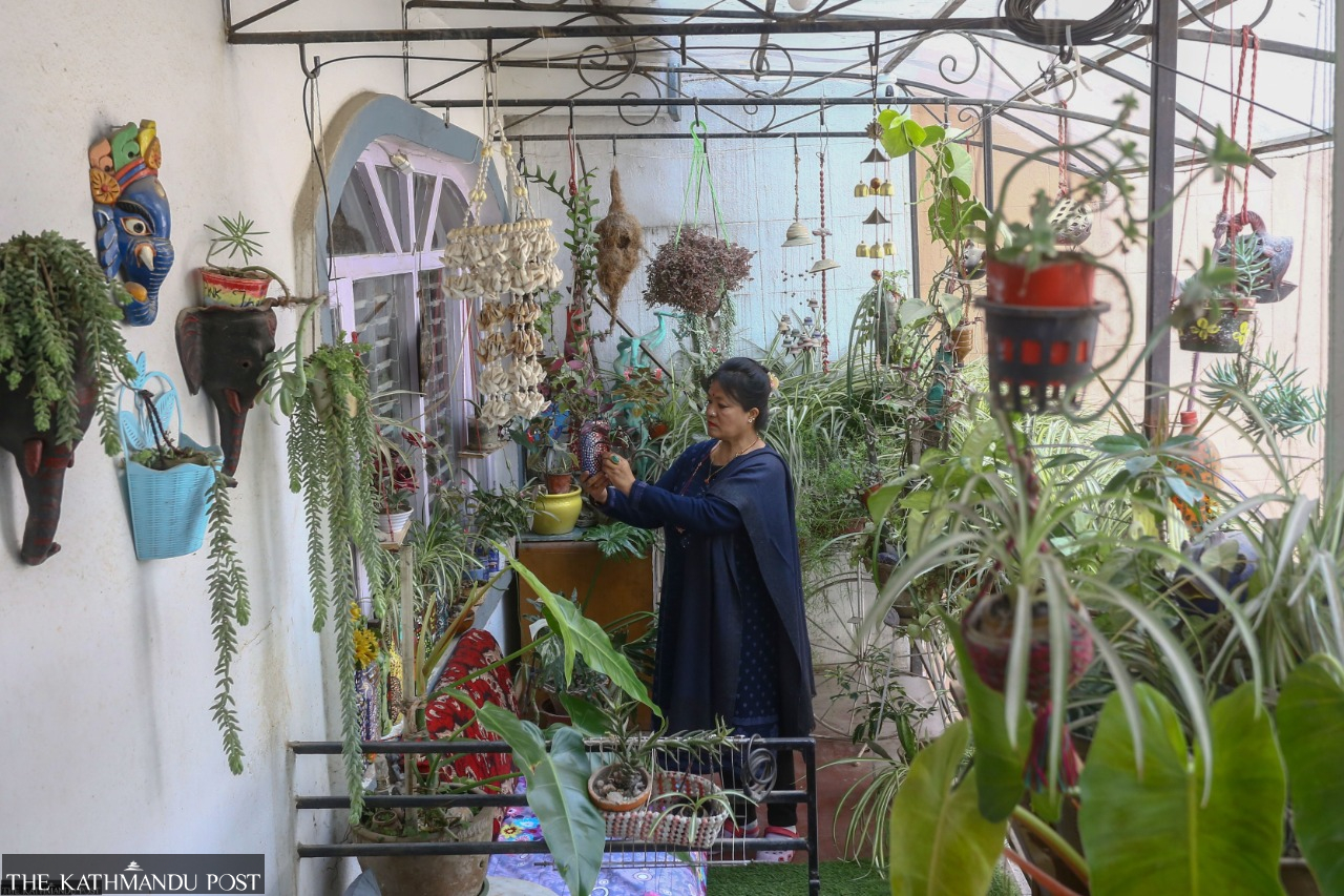 Meet the plant ladies of Kathmandu