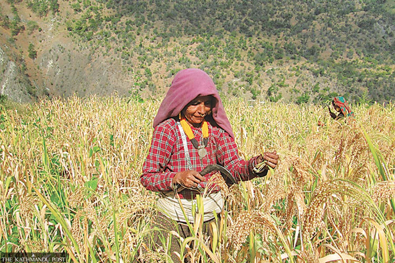 Roads allow Karnali’s farm products to reach overseas