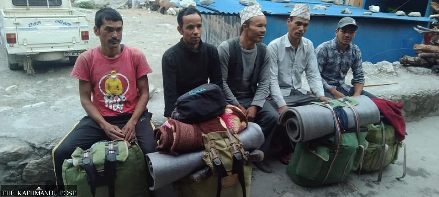 Yarsa yields dwindle due to overharvesting