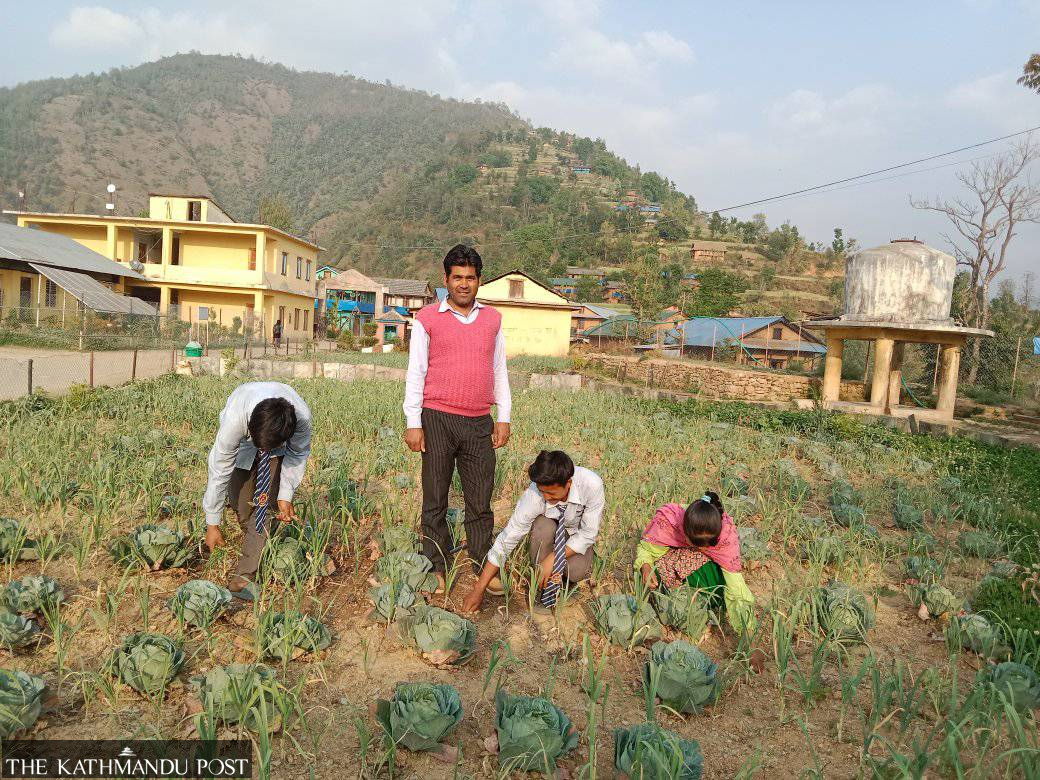 Students in Rolpa apply theoretical knowledge in farming