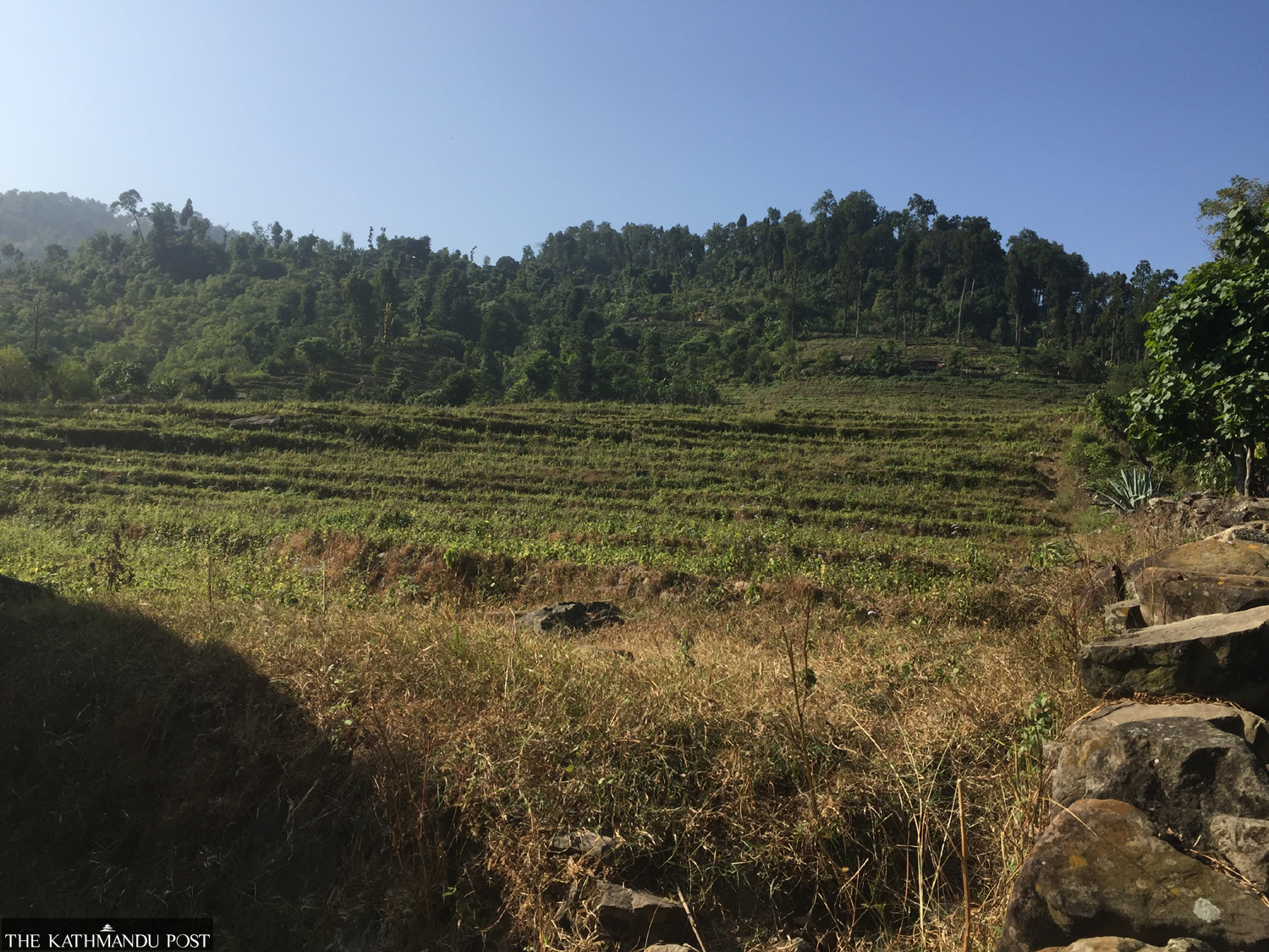 Chure foothills in Sudurpaschim are parched as natural water sources dry up