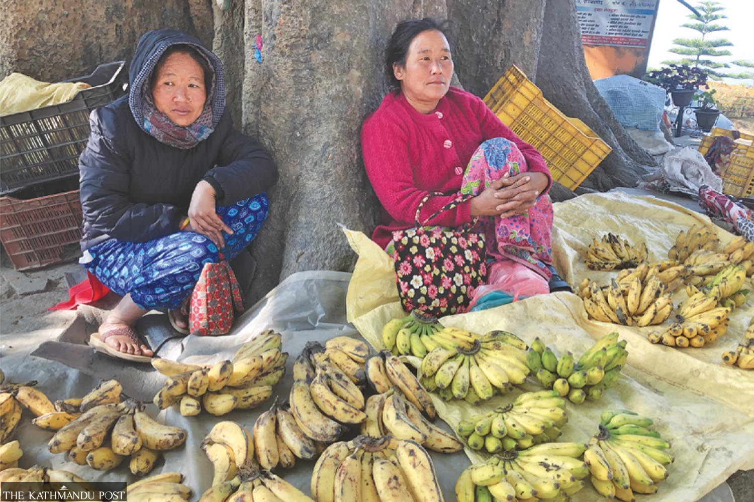 No respite for national economy with more instability in store