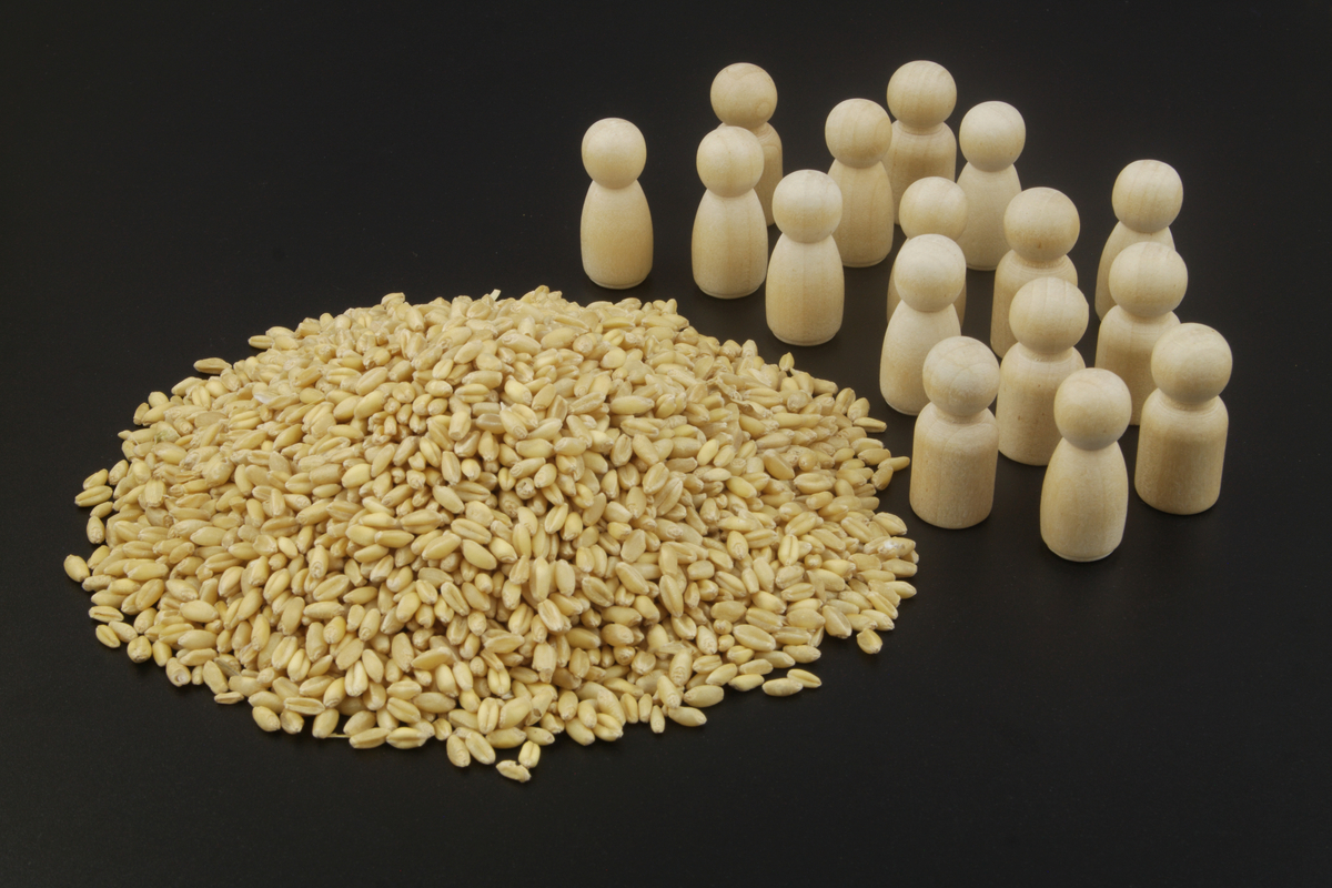 Growing foods to feed the hungry