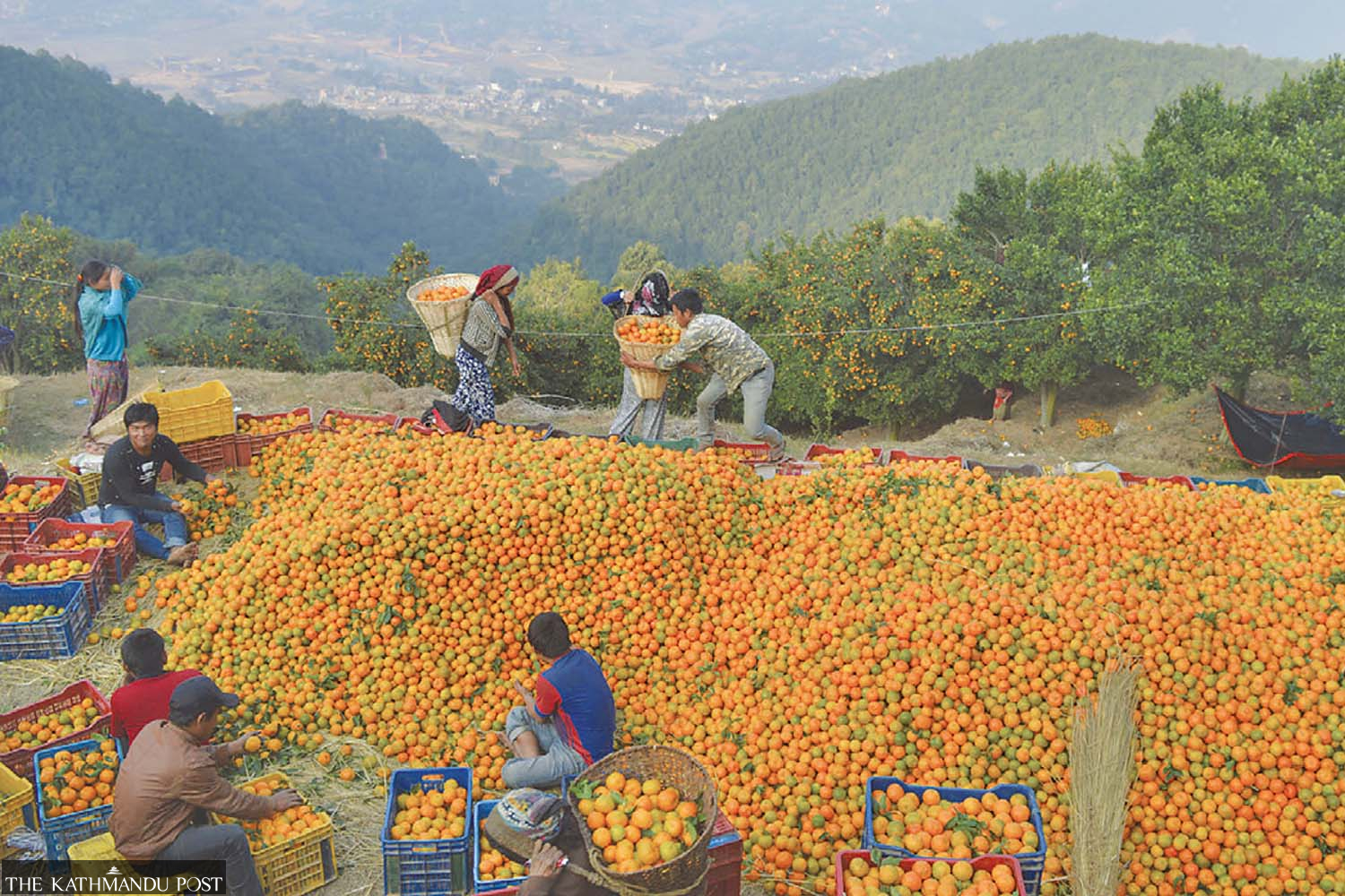 Nepal’s growth to crawl to 4.4 percent amid slow trade, poor investment