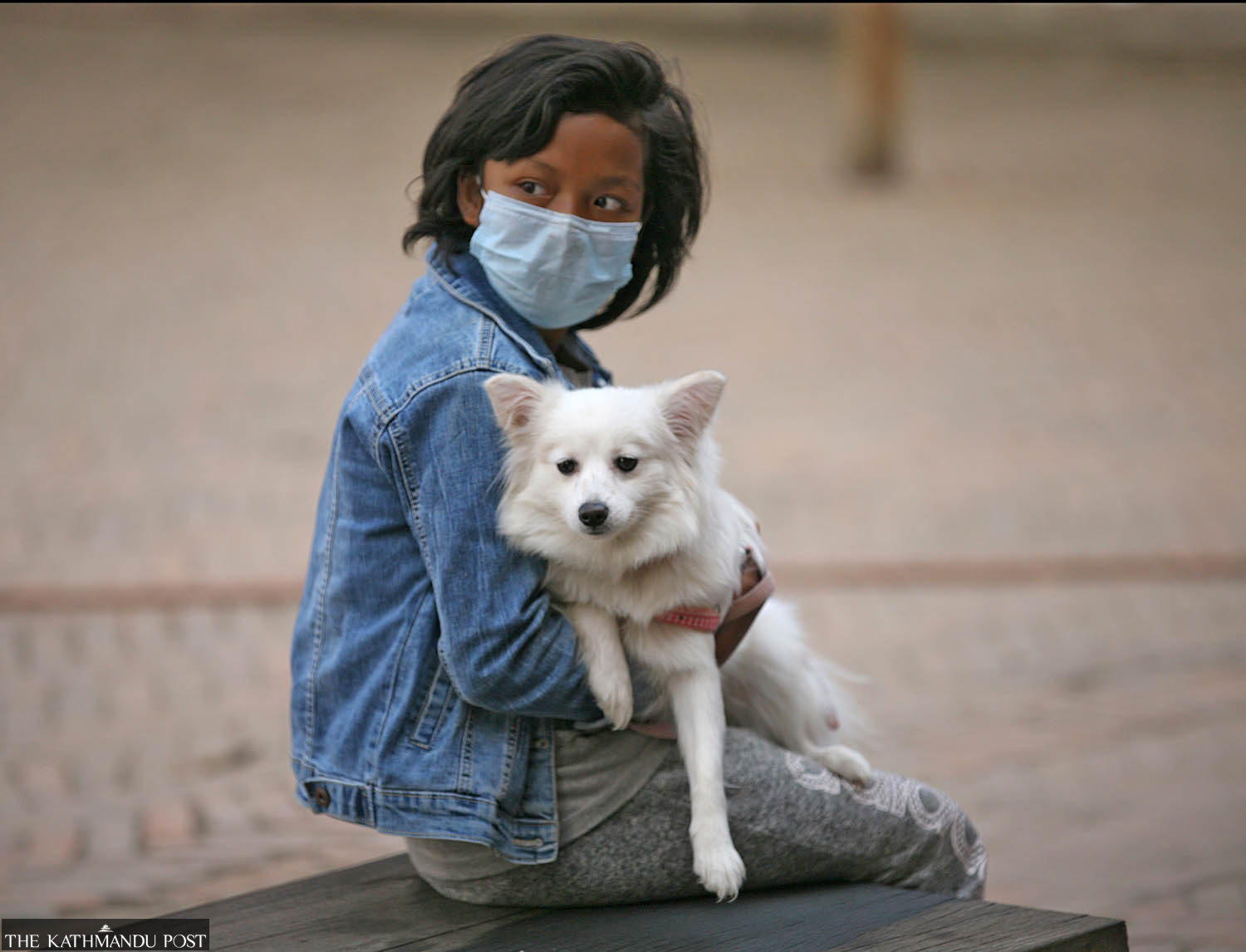 Learning to love animals