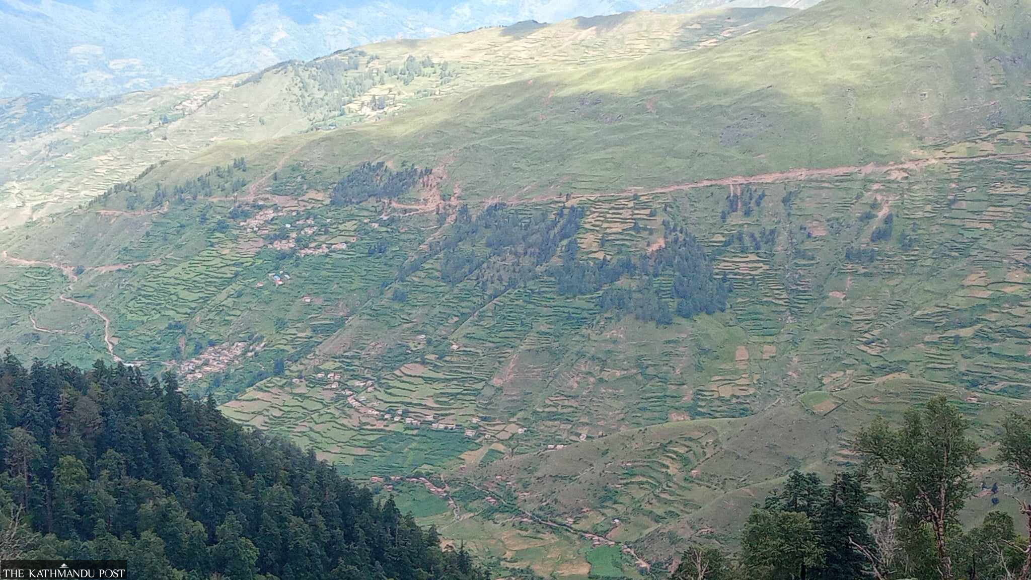 Troubled villagers hire watchmen to protect crops from monkeys