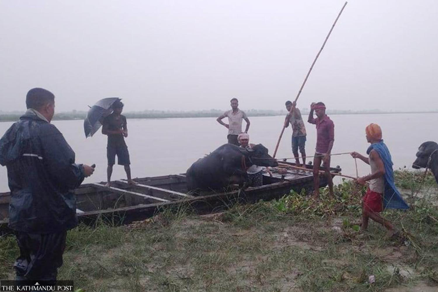 Five villagers trapped in Bagmati’s floods safely rescued after eight hours