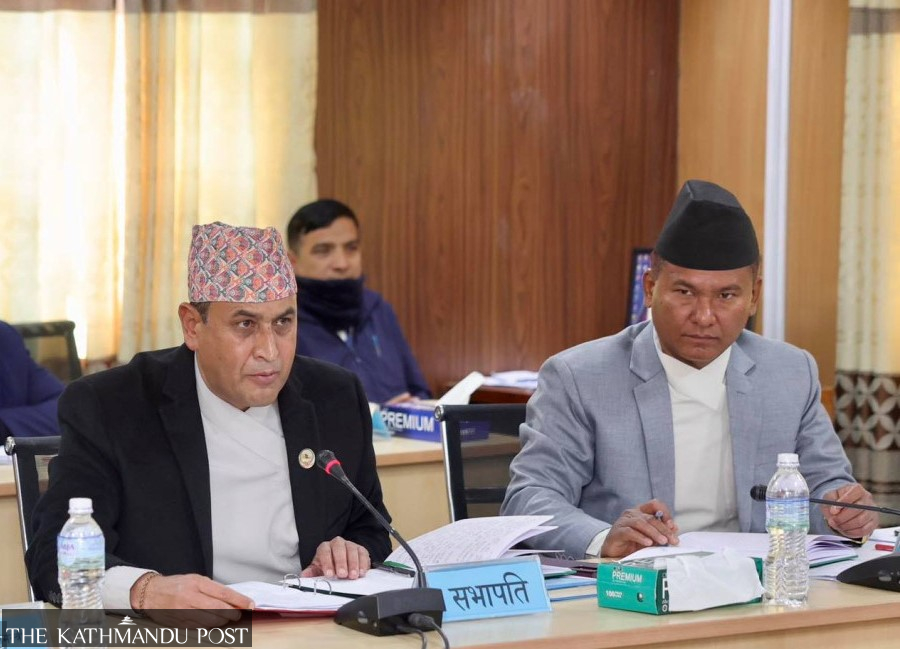 State Affairs Committee directs against approval of Ncell deal