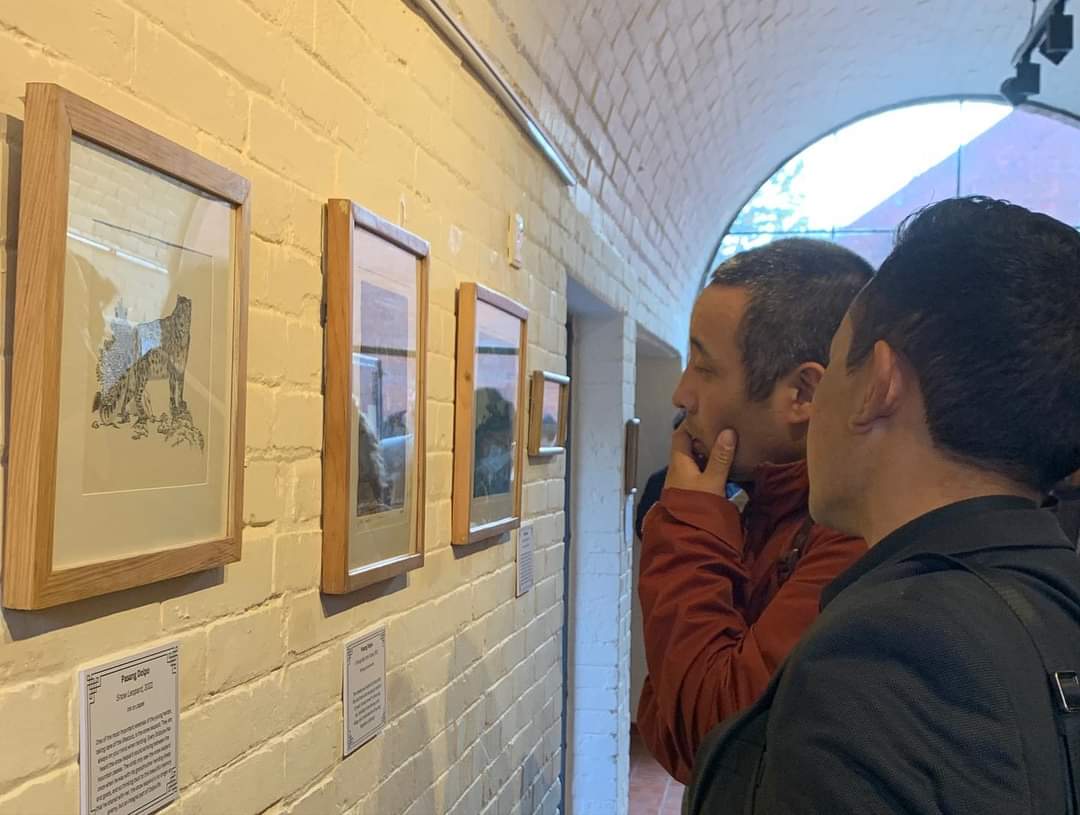 A feast for your eyes