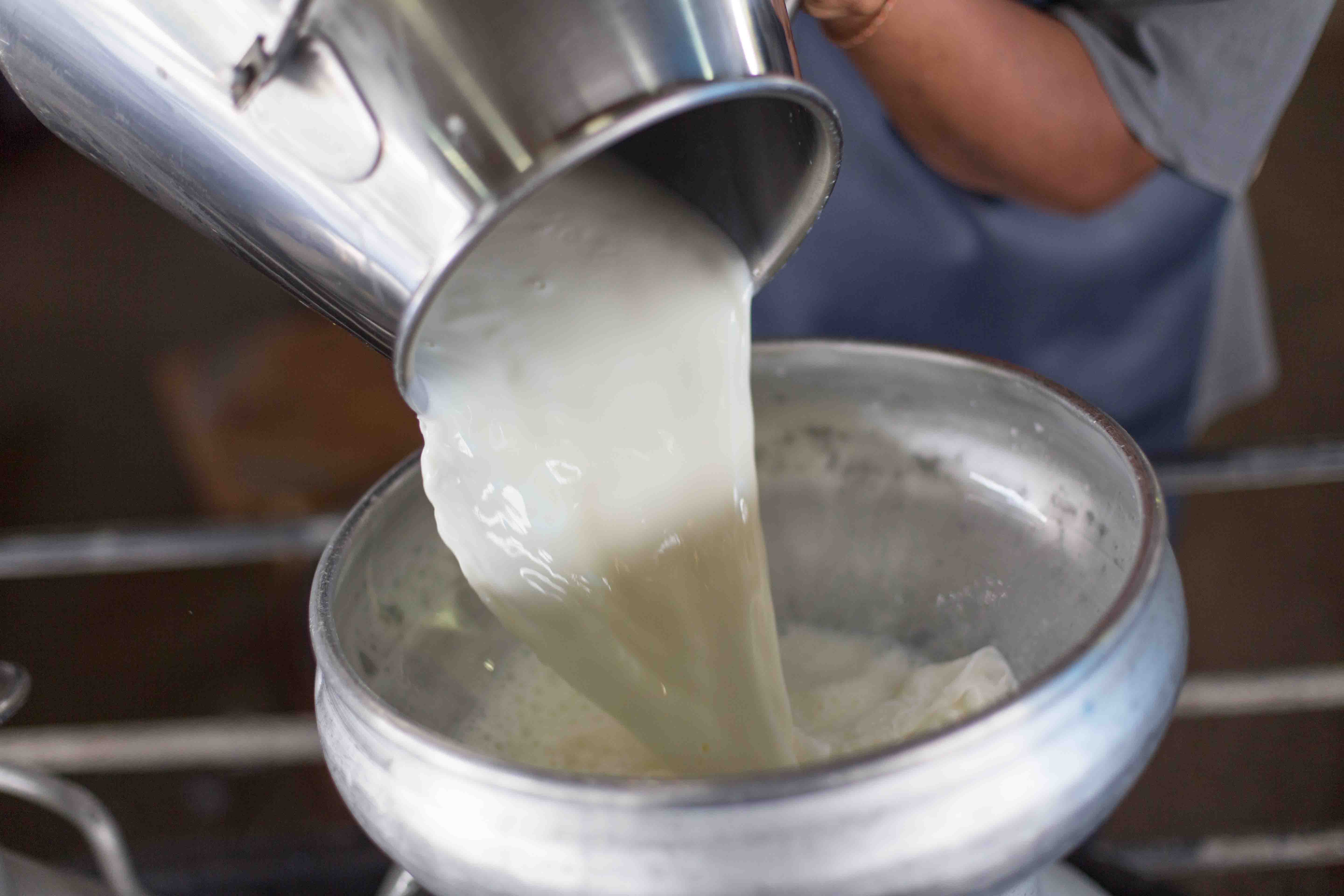 Milk has become expensive. Now, it’s the turn of state-owned DDC to ...