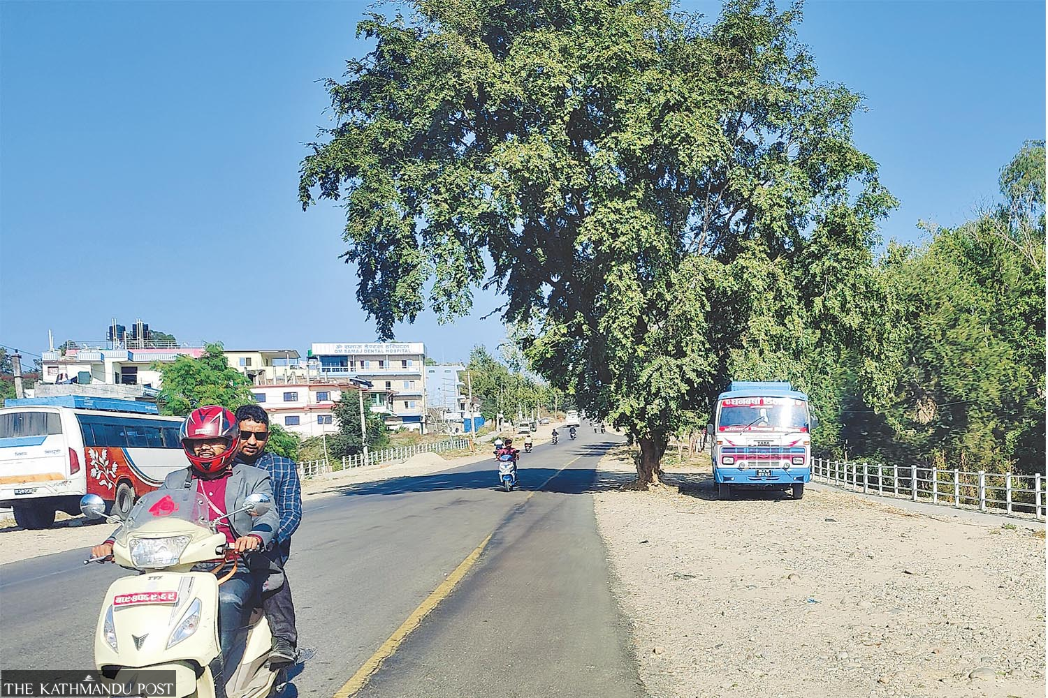 Standing trees on the road turn BP Highway road section in Bardibas into hazard zone