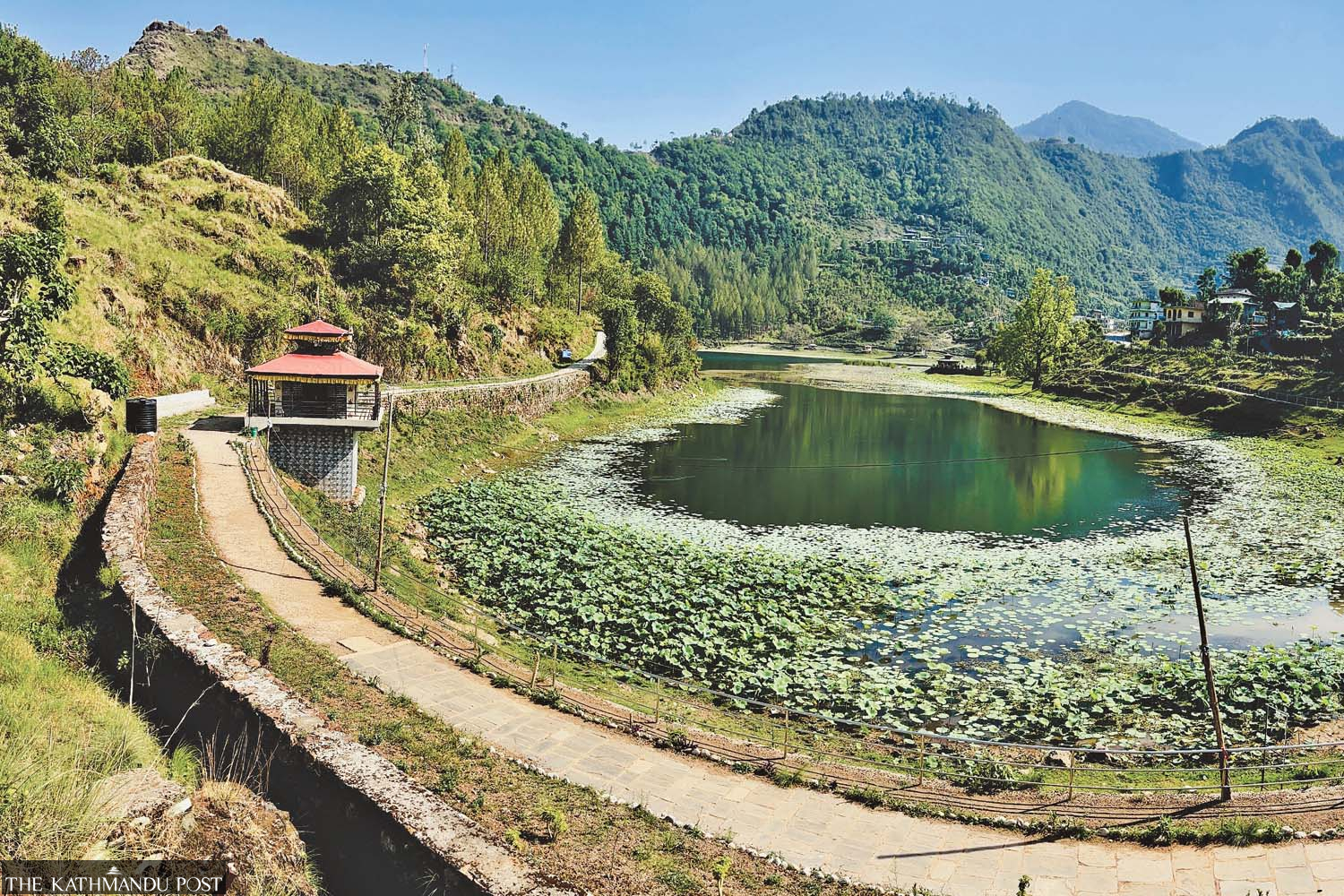 Locals worried as water recedes in scenic lotus pond