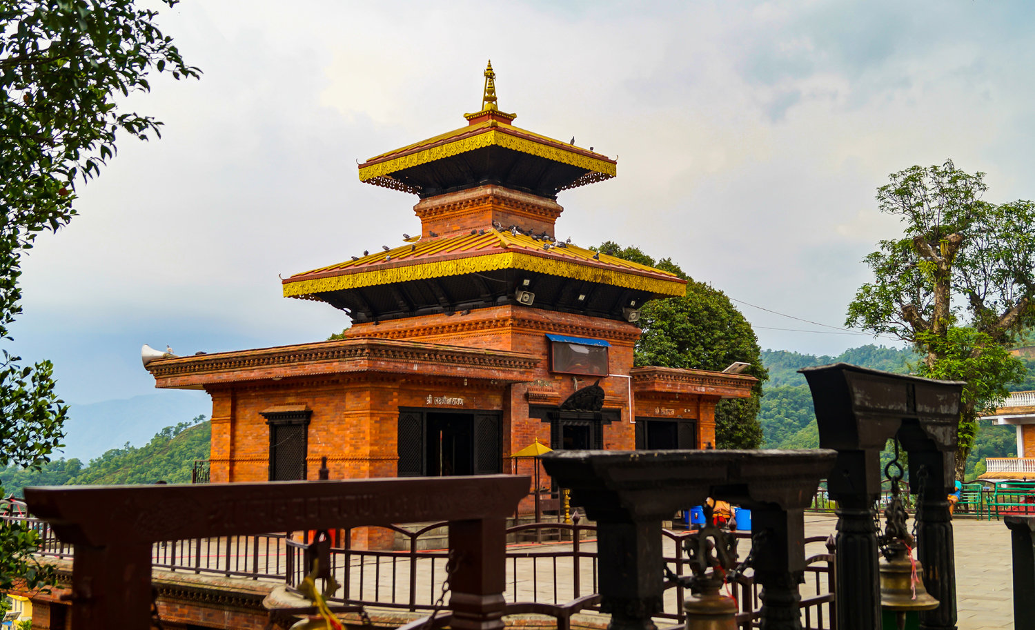 A friendly encounter at Bindhyabasini Temple