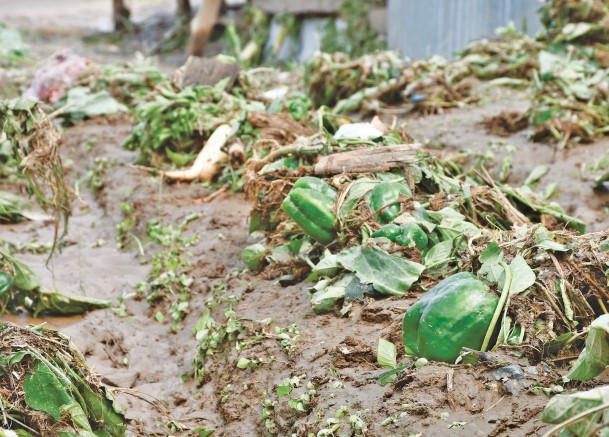 Floods, landslides push veggie prices to new highs
