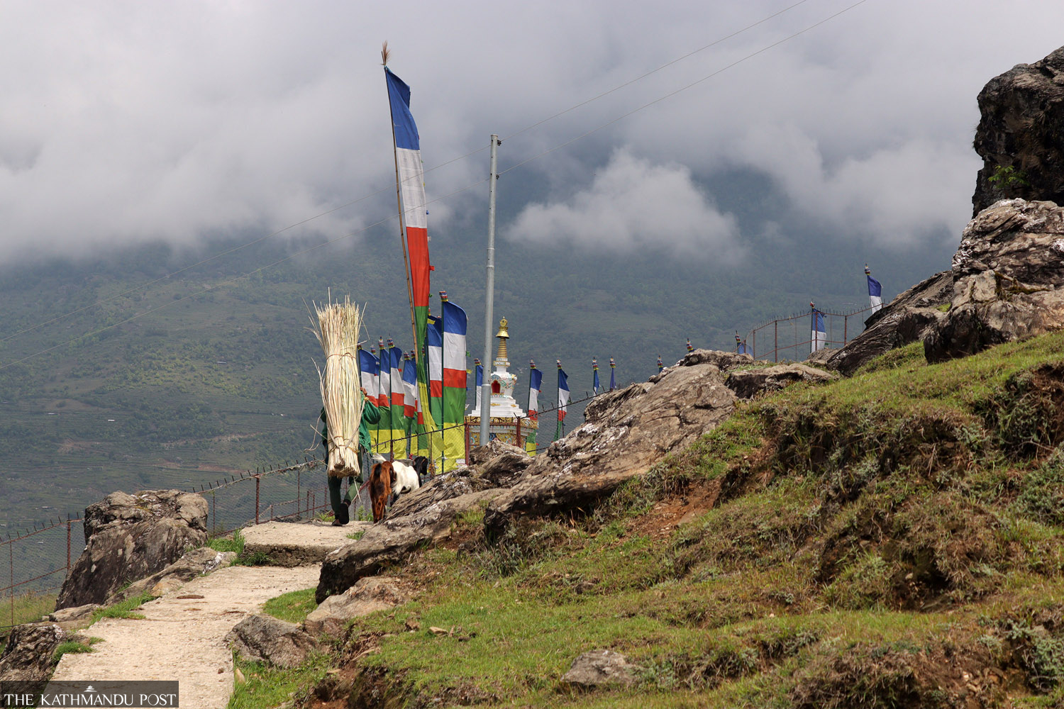 The week in 8 photos