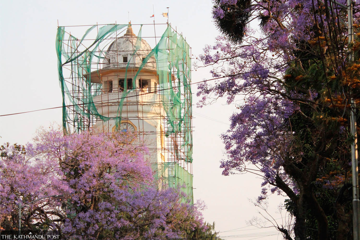 The week in 5 photos