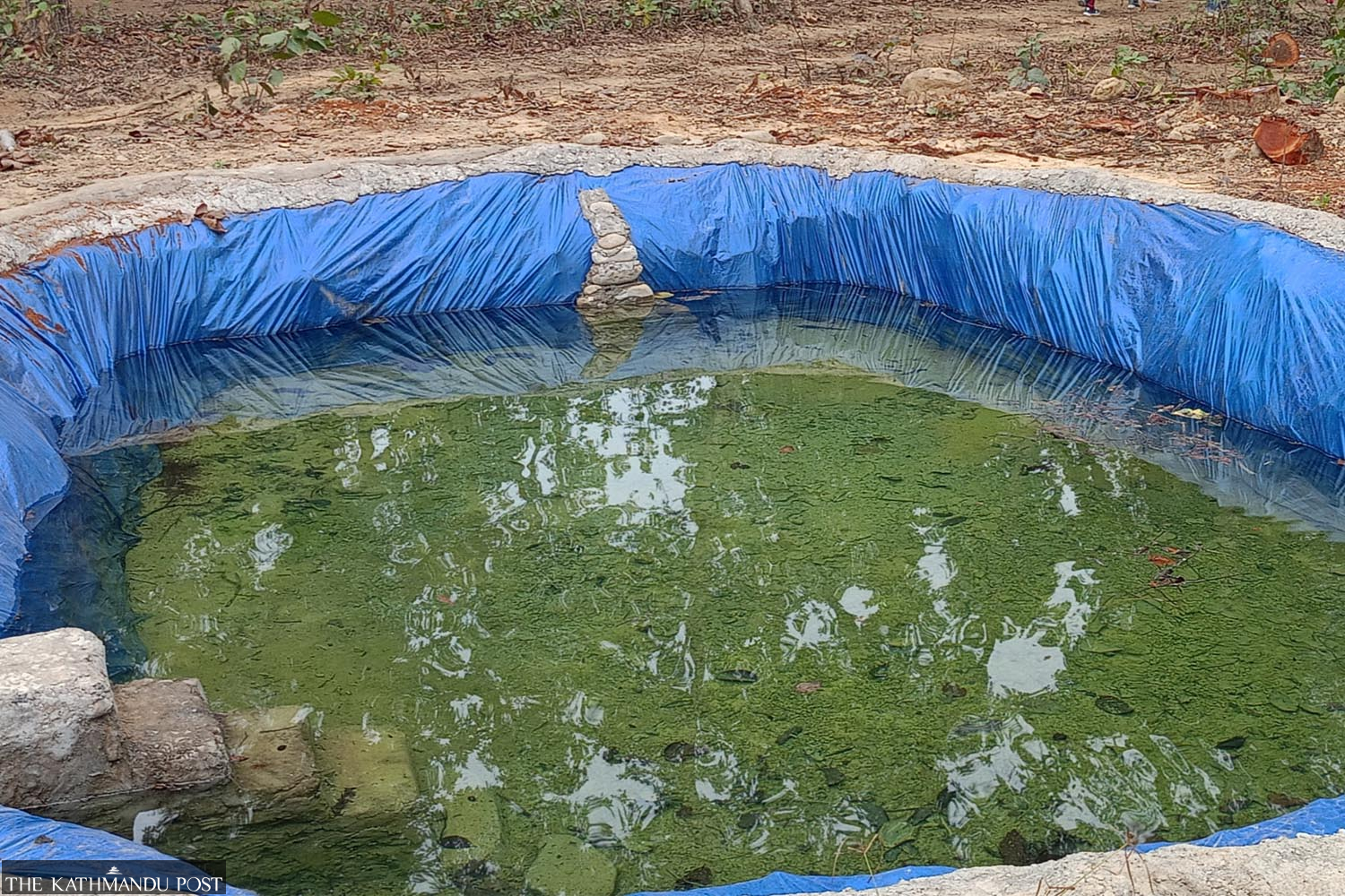 Artificial ponds inside community forest provide reliable source of water for wildlife
