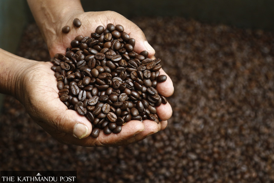 Brewing change in Nepali coffee