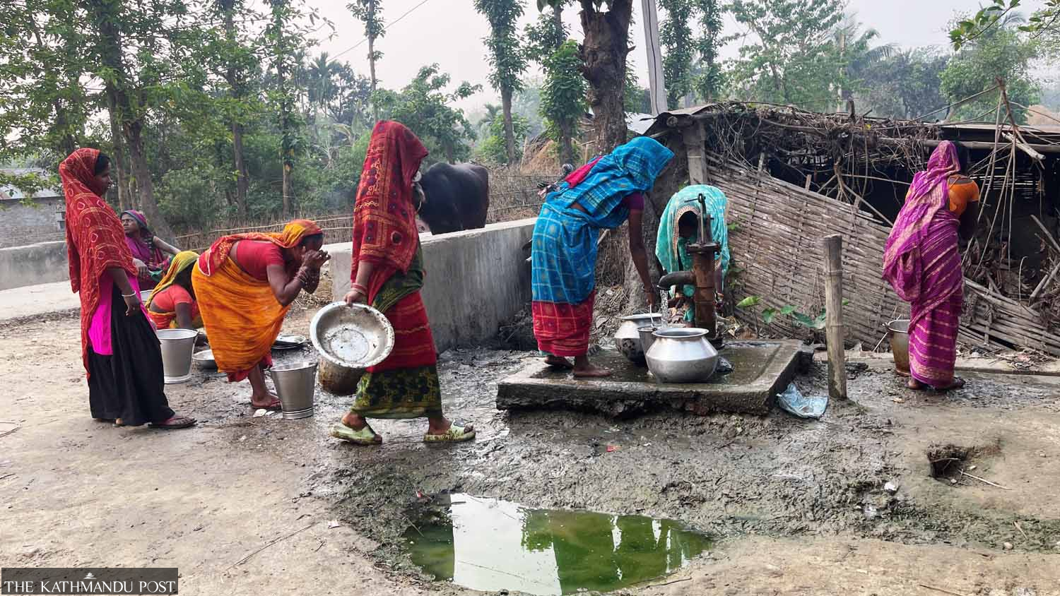 Water crisis makes life difficult for Musahars in Saptari