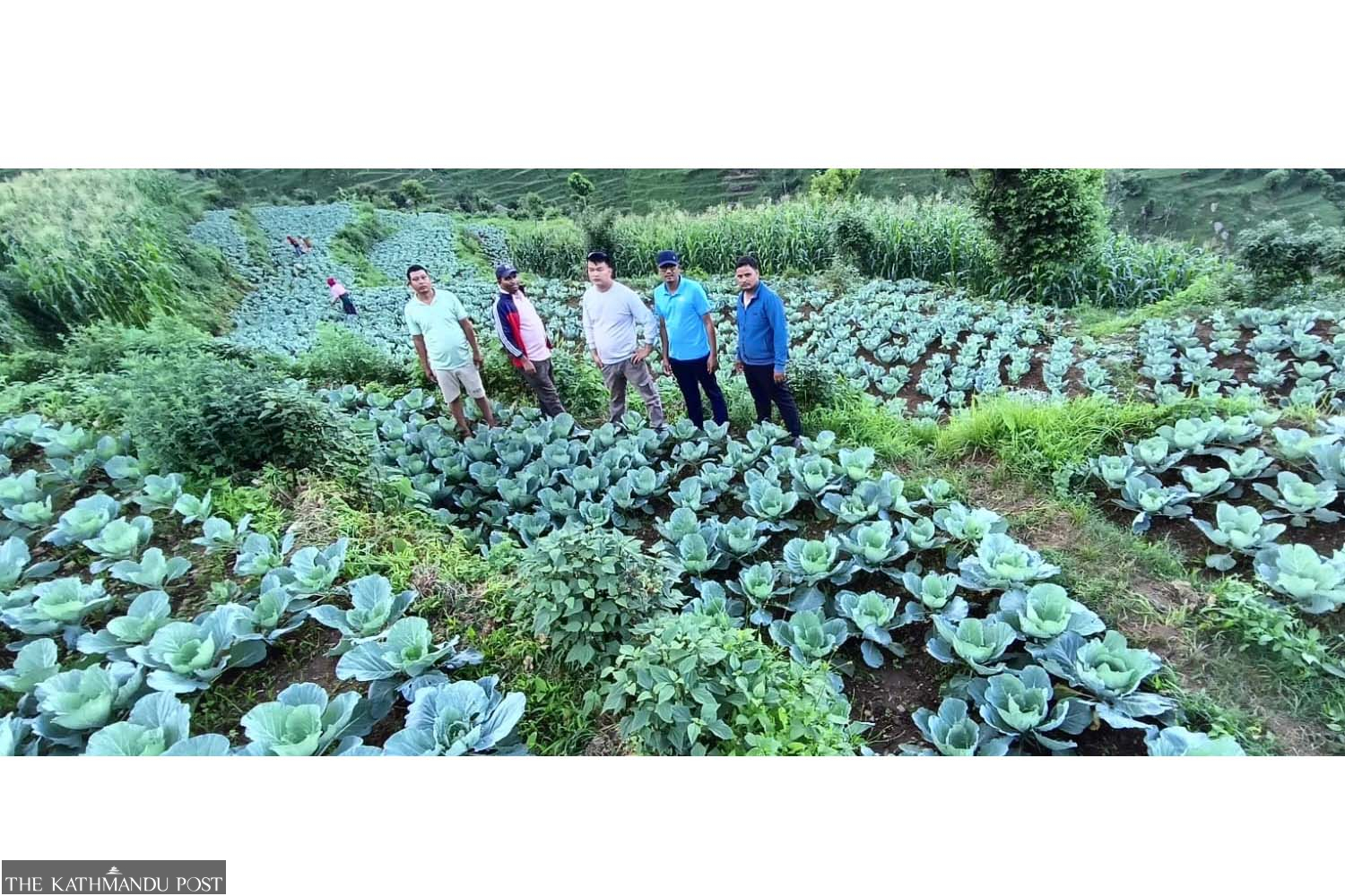 Chingad municipal employees work on farm after office