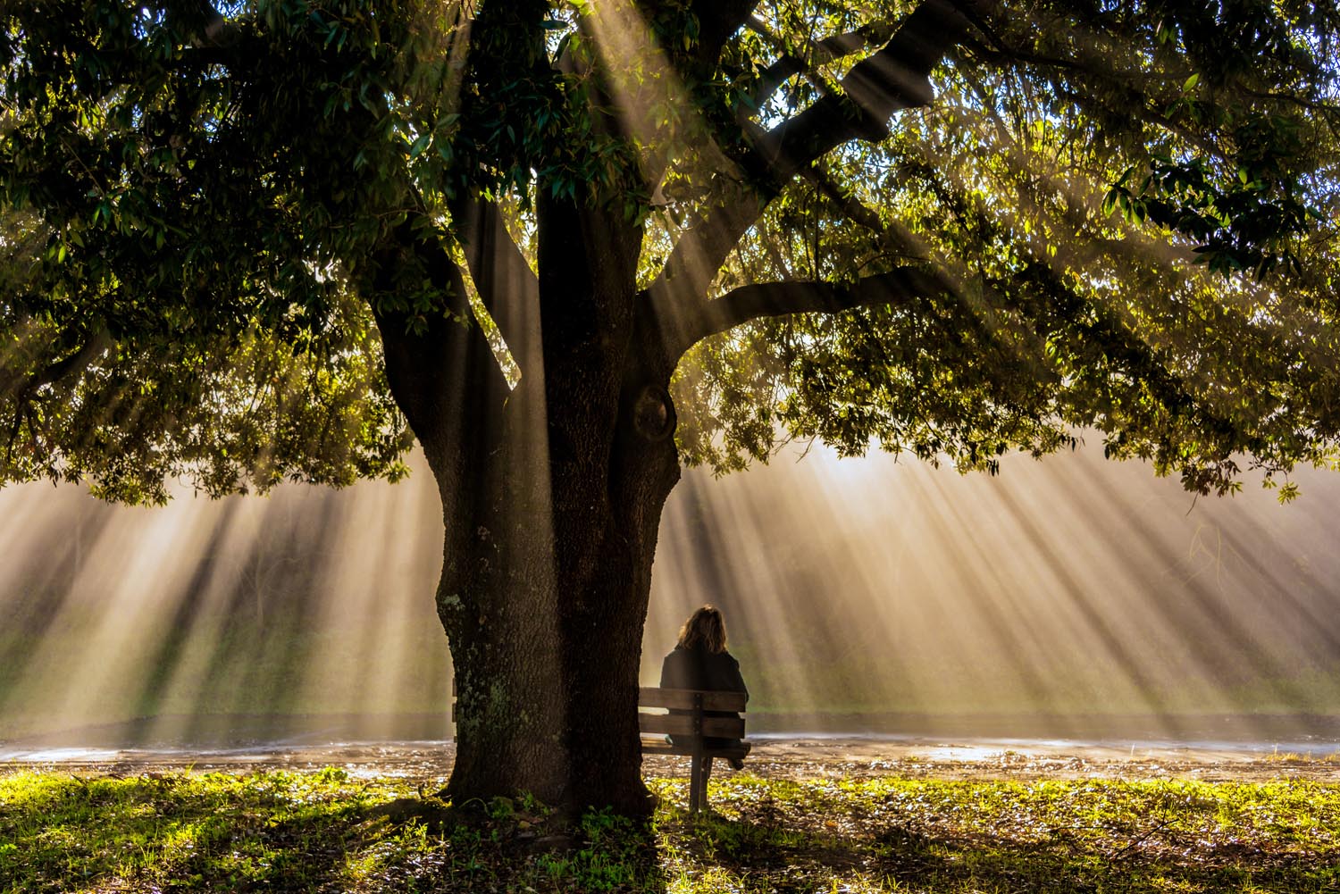 Roots of change