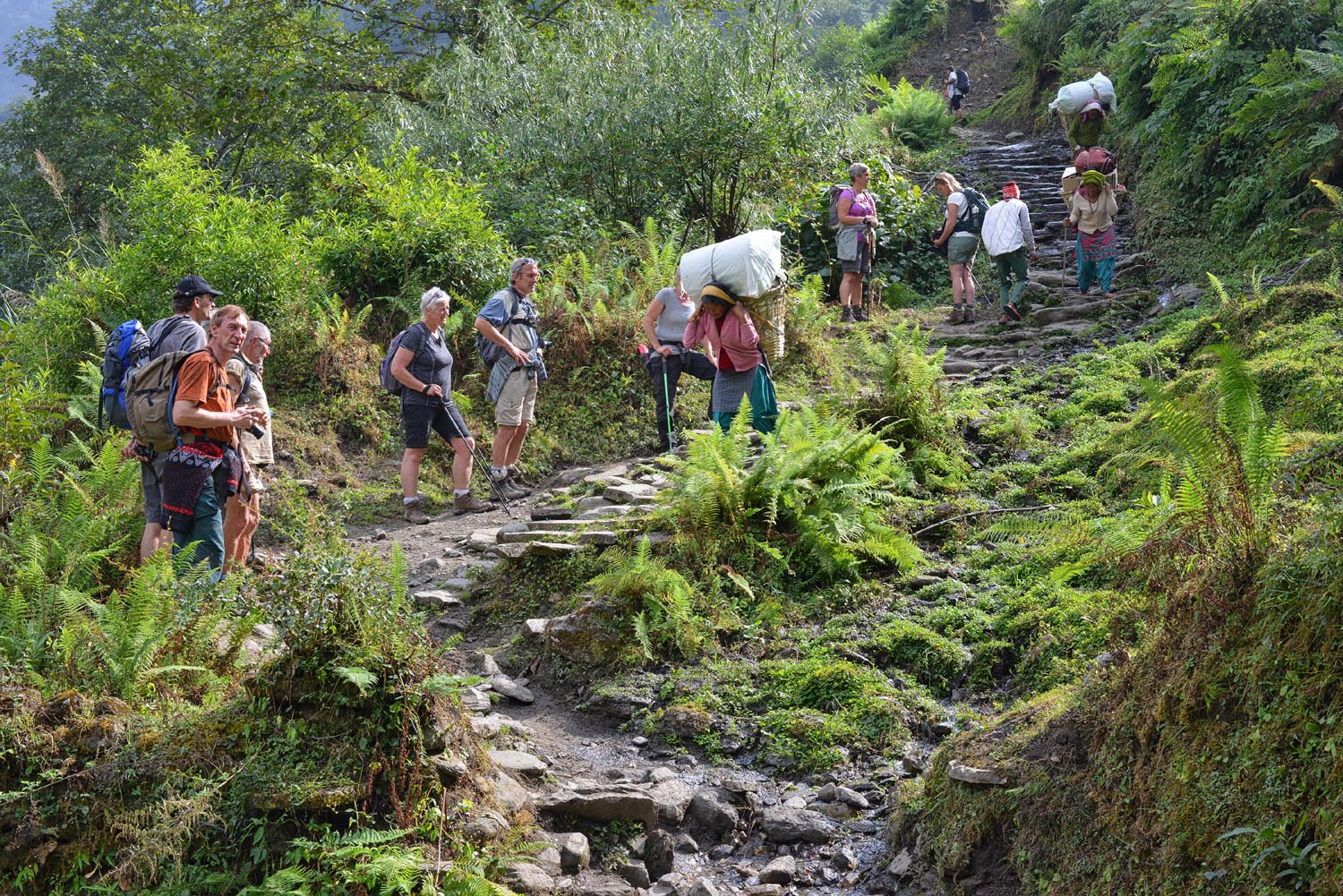 Declining visitor numbers threaten peak tourism season