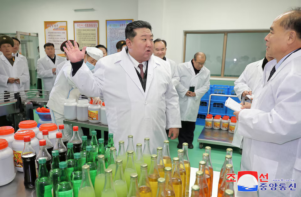 North Korea posts fastest growth in 8 years in 2024, driven by Russia ...