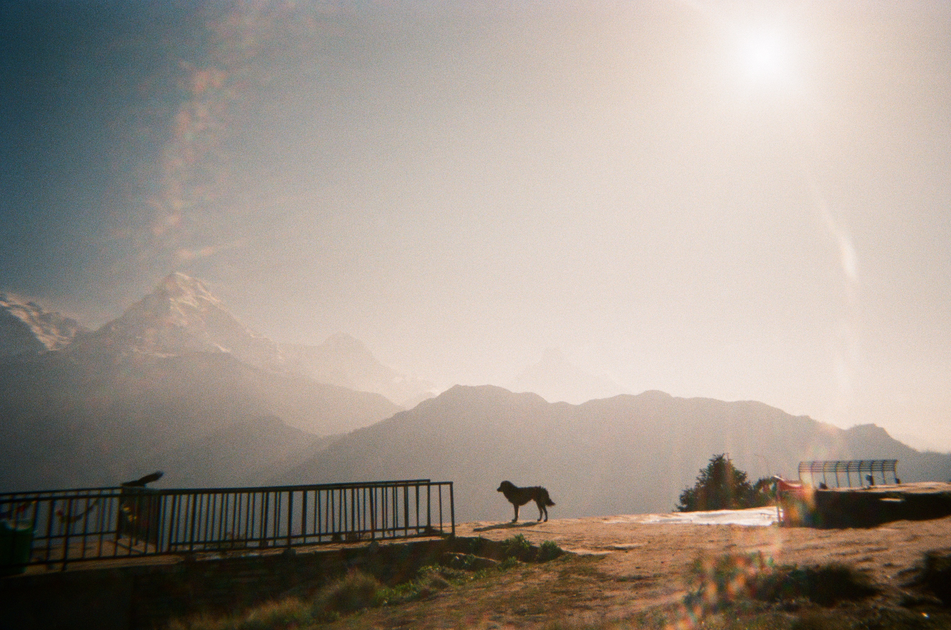 The spiritual path to Poon Hill